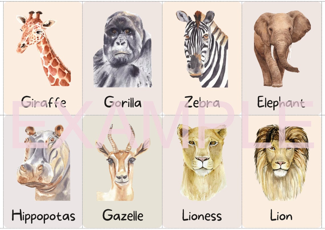 Printable Kids Flash Cards, Montessori Learn Africa Nature Study ...
