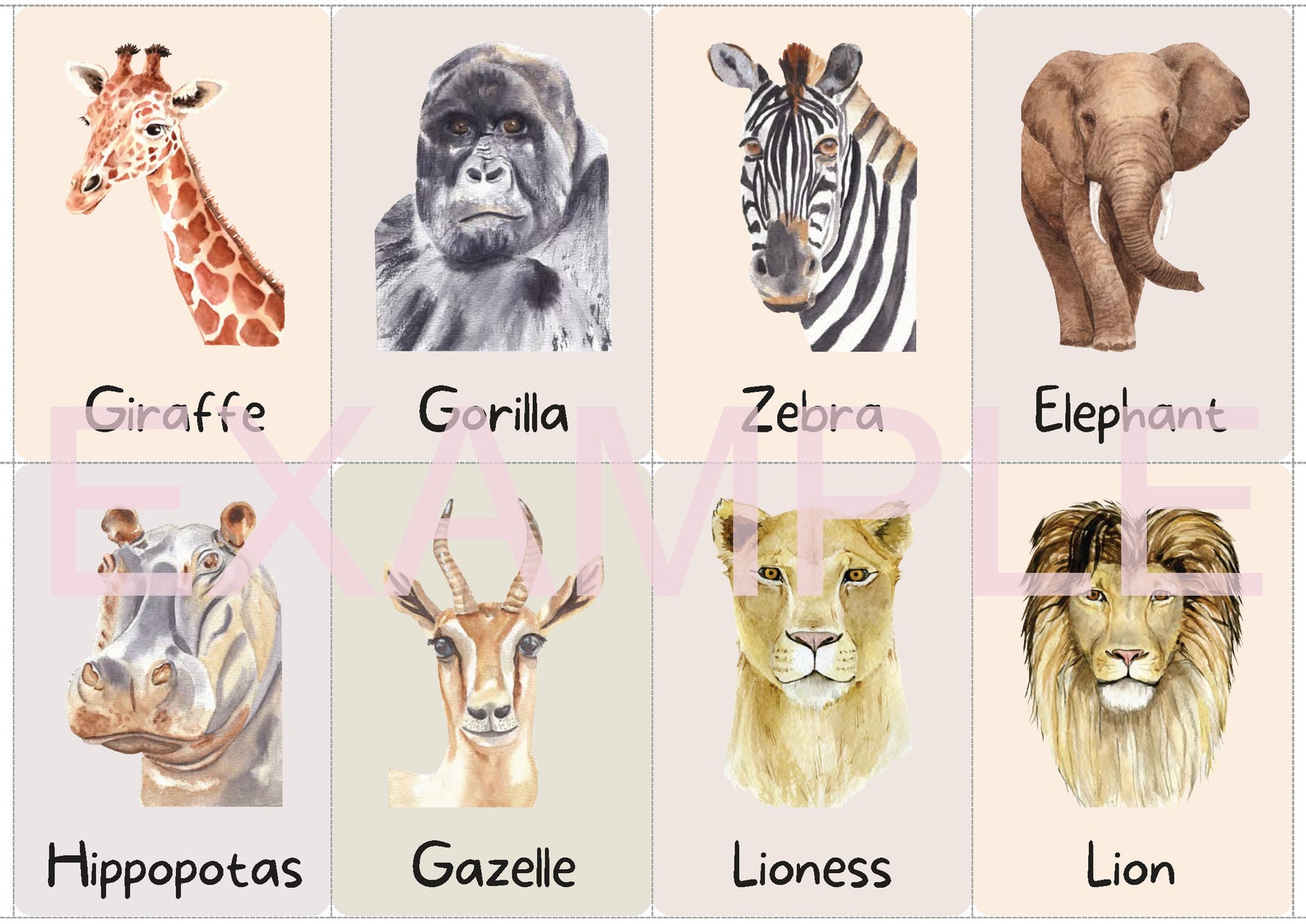 Printable Kids Flash Cards Montessori Learn Africa Nature - Etsy