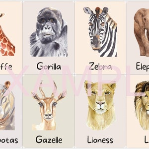 Printable Kids Flash Cards, Montessori Learn Africa Nature Study ...
