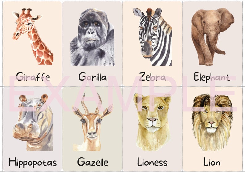 Printable Kids Flash Cards, Montessori Learn Africa Nature Study ...