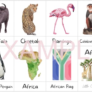 Printable Kids Flash Cards, Montessori Learn Africa Nature Study ...