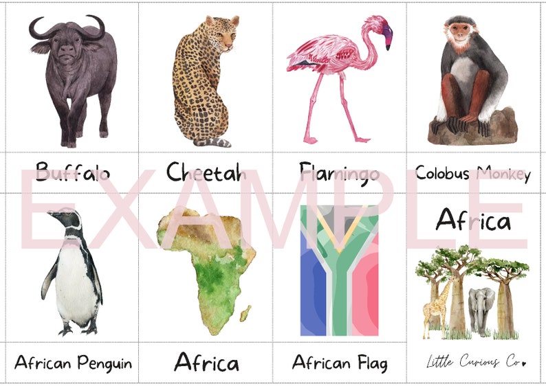 Printable Kids Flash Cards Montessori Learn Africa Nature - Etsy