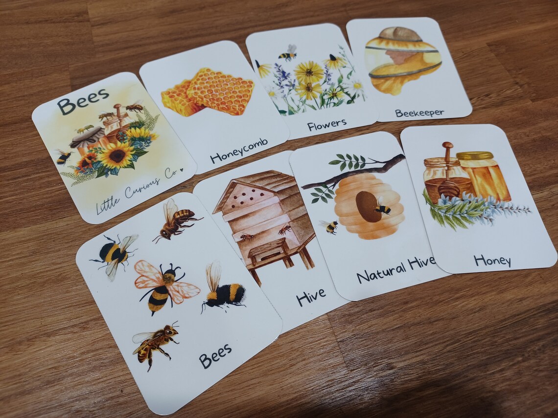 Printable Flashcards, Montessori Learn Bees, Homeschool Bee Nature ...