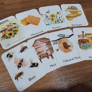 Printable Flashcards, Montessori Learn Bees, Homeschool Bee Nature ...