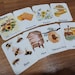 Printable Flashcards, Montessori Learn Bees, Homeschool Bee Nature ...