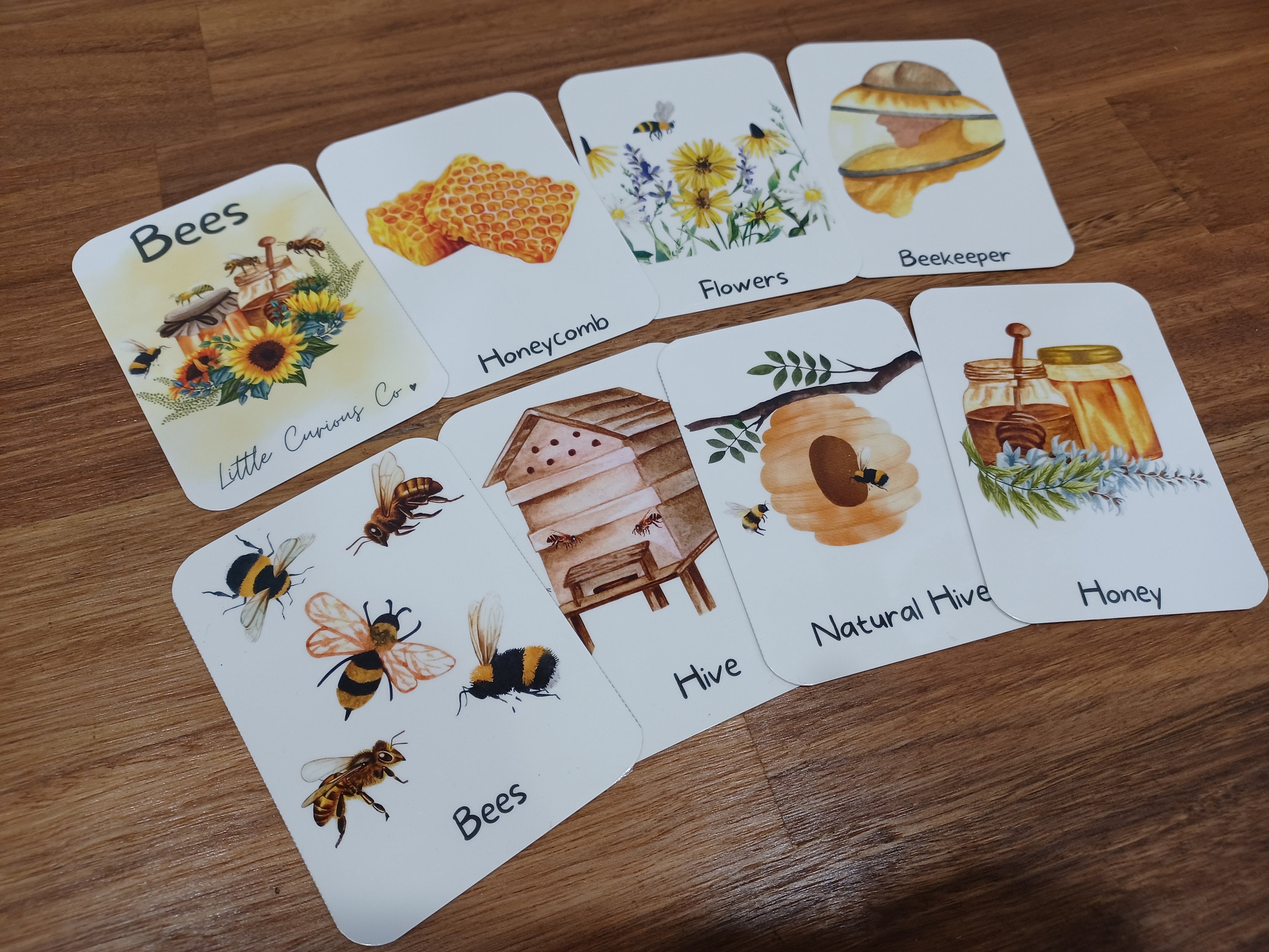 Printable Flashcards Montessori Learn Bees Homeschool Bee - Etsy
