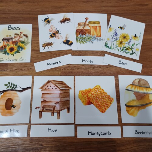 Printable Flashcards Montessori Learn Bees Homeschool Bee - Etsy