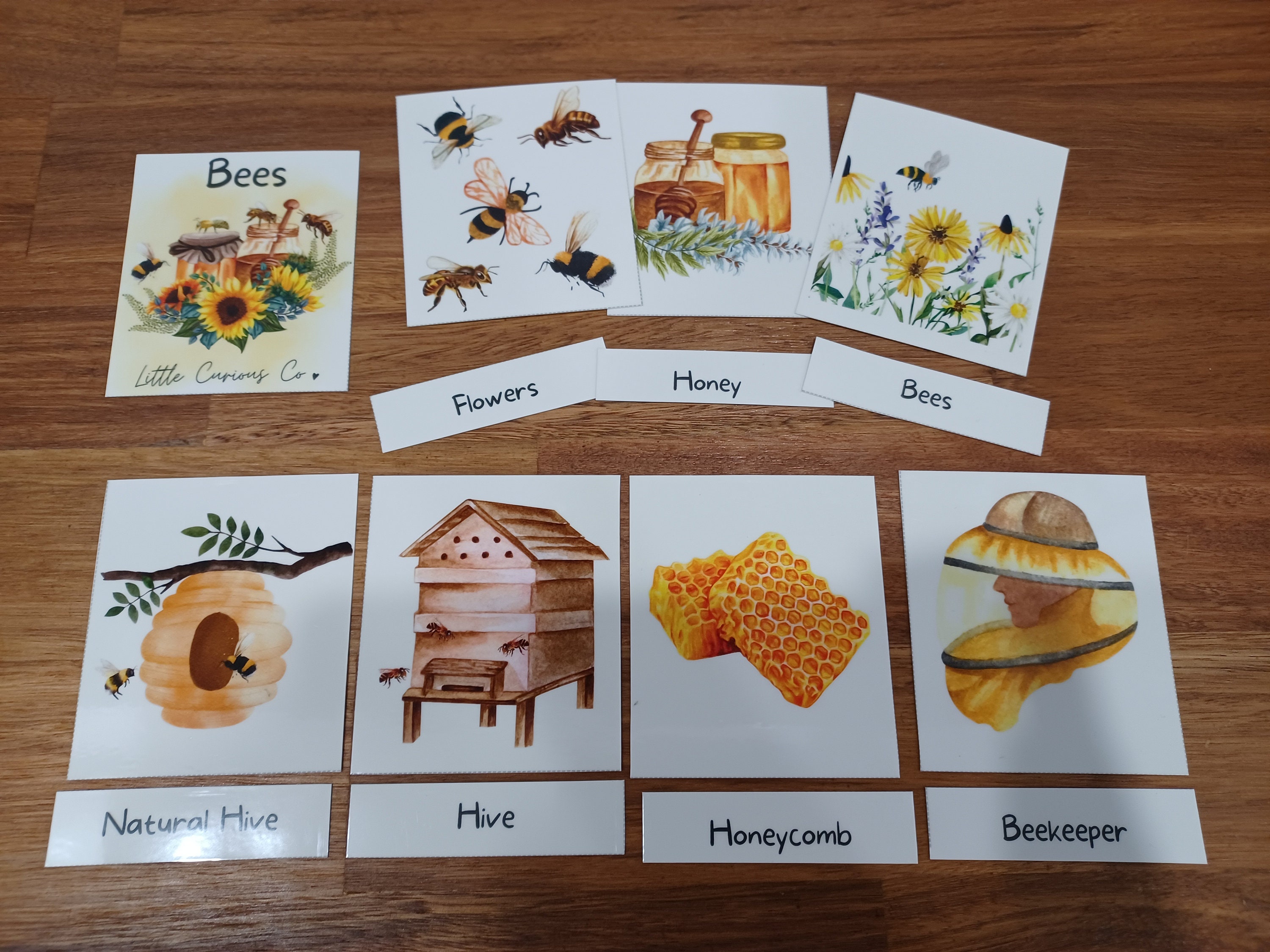 Printable Flashcards, Montessori Learn Bees, Homeschool Bee Nature ...