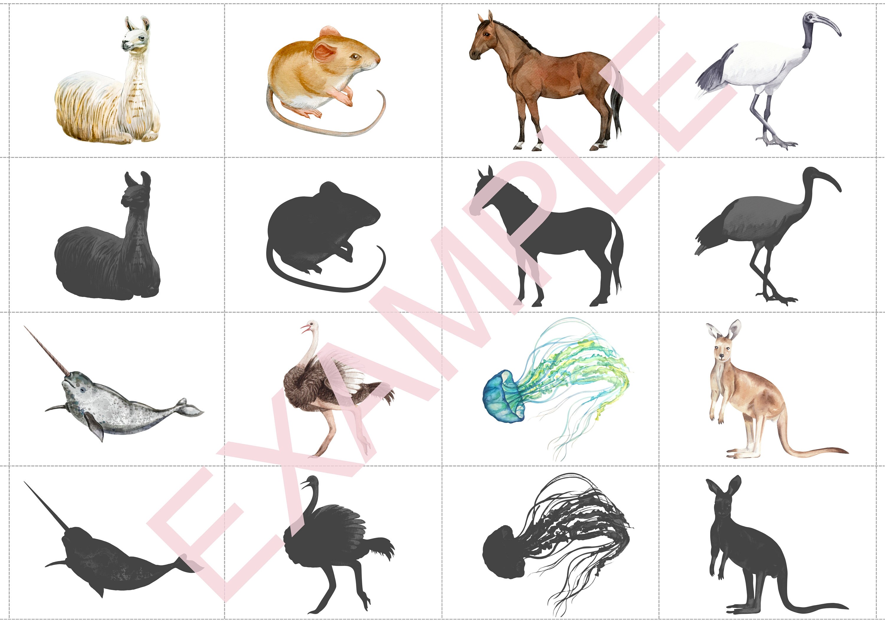 Animal Shadow Matching Flash Cards Preschool Curriculum - Etsy