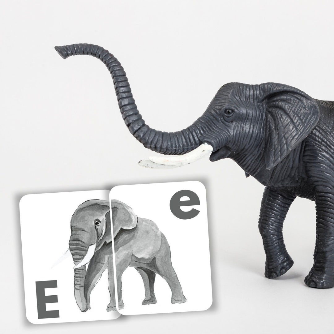 Alphabet Matching Cards, Preschool Curriculum, Homeschool Learning ...