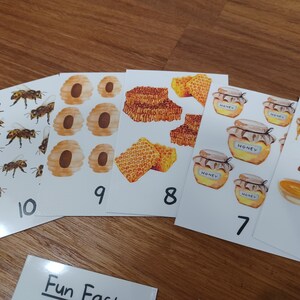 Printable Flashcards, Montessori Learn Counting Bees, Homeschool Bee ...
