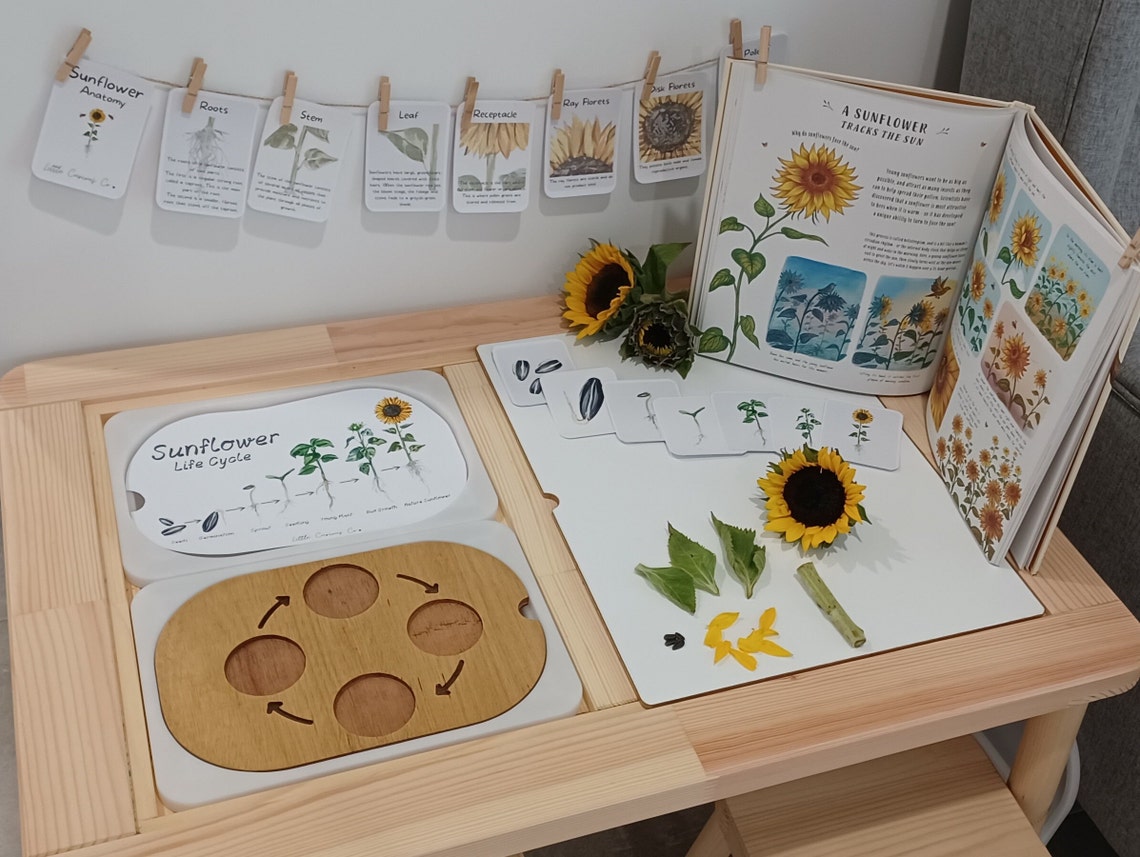 Printable Trofast Flisat Lid Insert Learn Montessori Life - Etsy