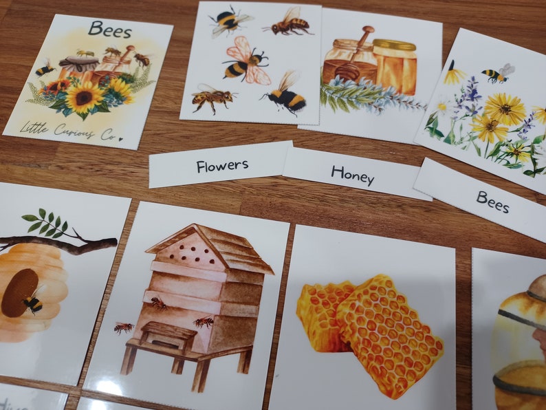 Printable Flashcards, Montessori Learn Bees, Homeschool Bee Nature ...