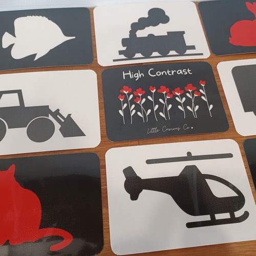 Printable Kids Flash Cards Montessori Learn Africa Nature - Etsy