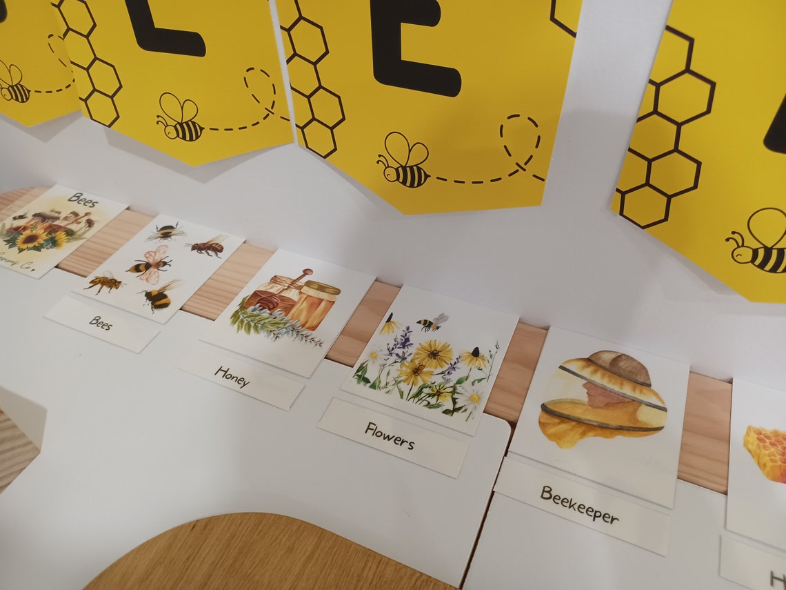 Printable Flashcards Montessori Learn Bees Homeschool Bee - Etsy