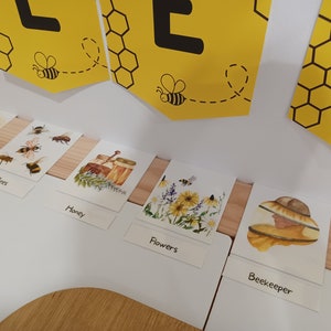 Printable Flashcards, Montessori Learn Bees, Homeschool Bee Nature ...