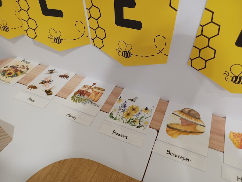 Printable Flashcards, Montessori Learn Bees, Homeschool Bee Nature ...