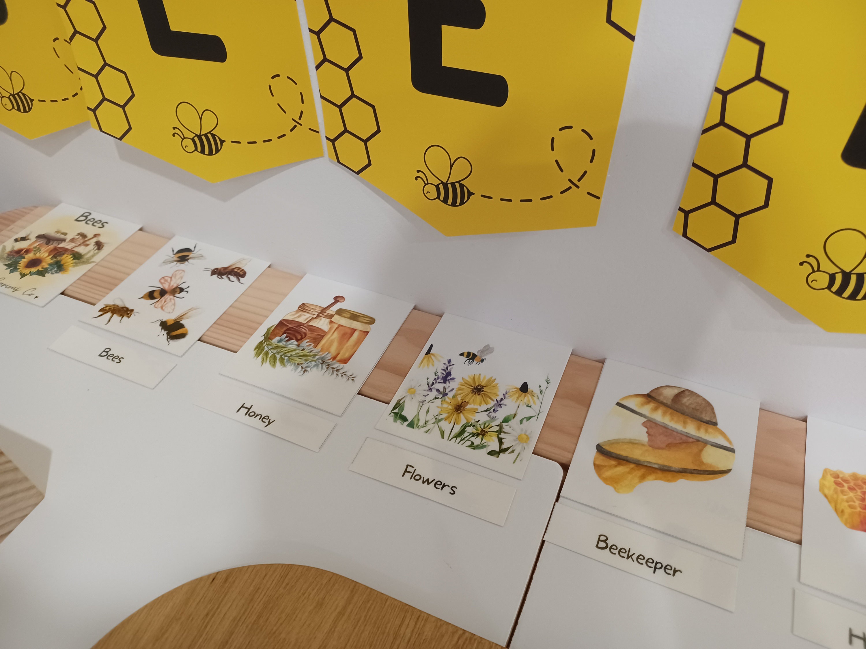 Printable Flashcards Montessori Learn Bees Homeschool Bee - Etsy