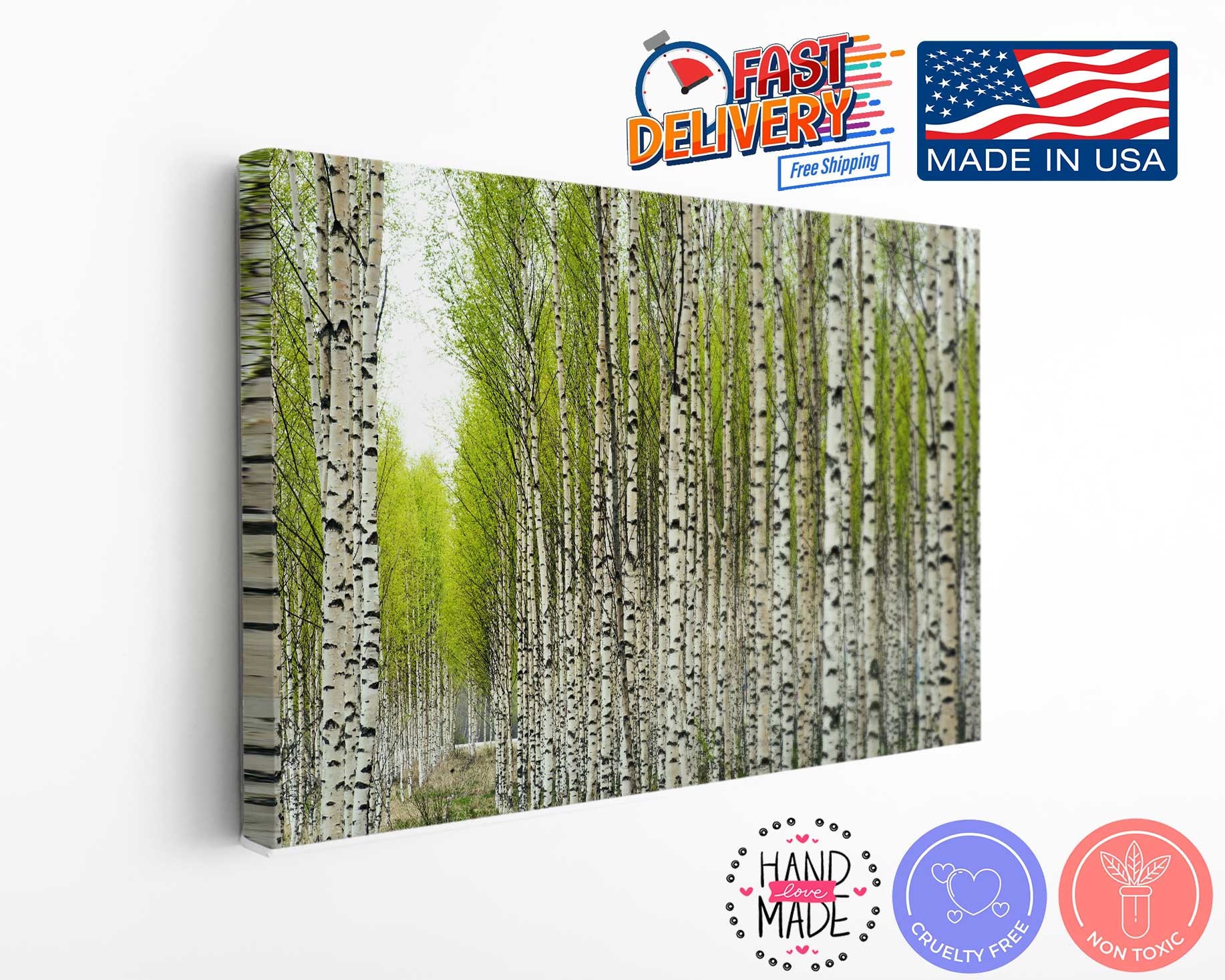 Birch Tree Art Border For Publisher