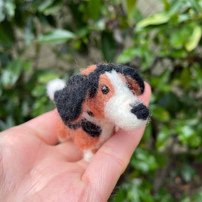 Needle Felt Pet - Etsy
