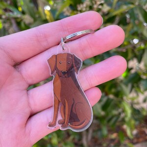 Labrador Acrylic Charm Keychain / Black / Yellow / Chocolate / Red ...