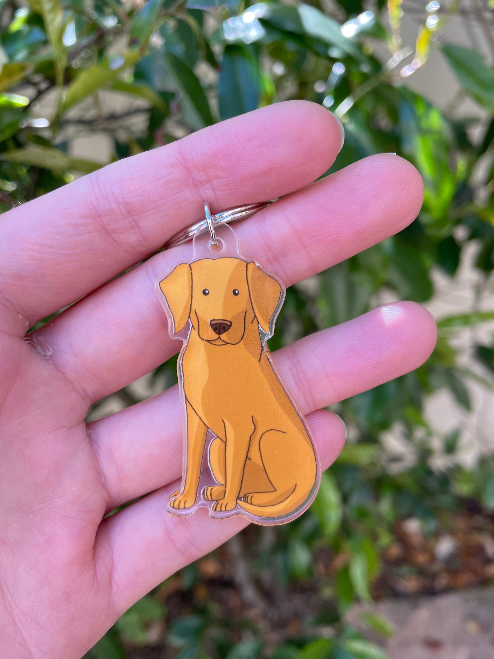 Labrador Acrylic Charm Keychain / Black / Yellow / Chocolate / Red ...
