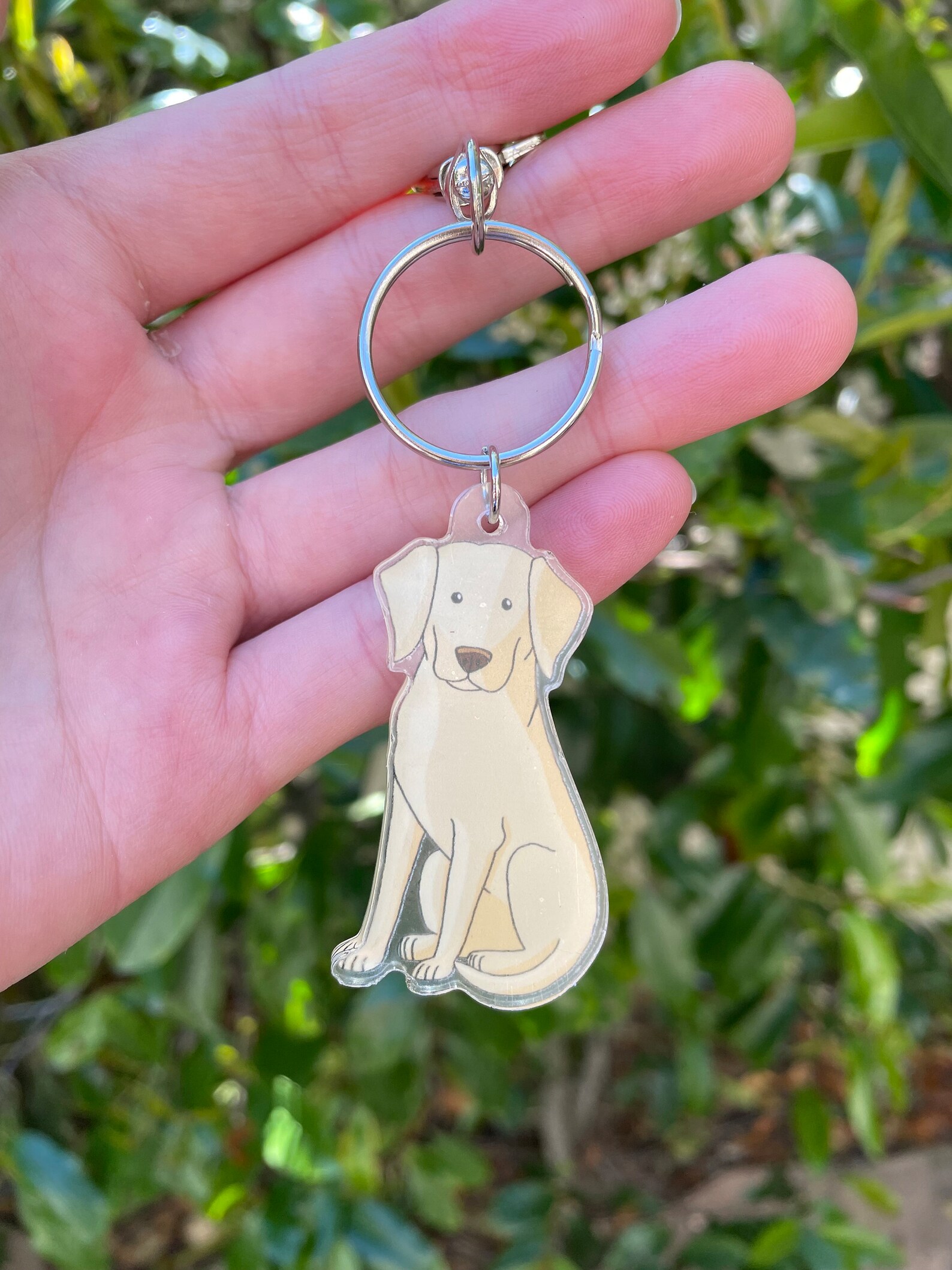 Labrador Acrylic Charm Keychain / Black / Yellow / Chocolate / Red ...