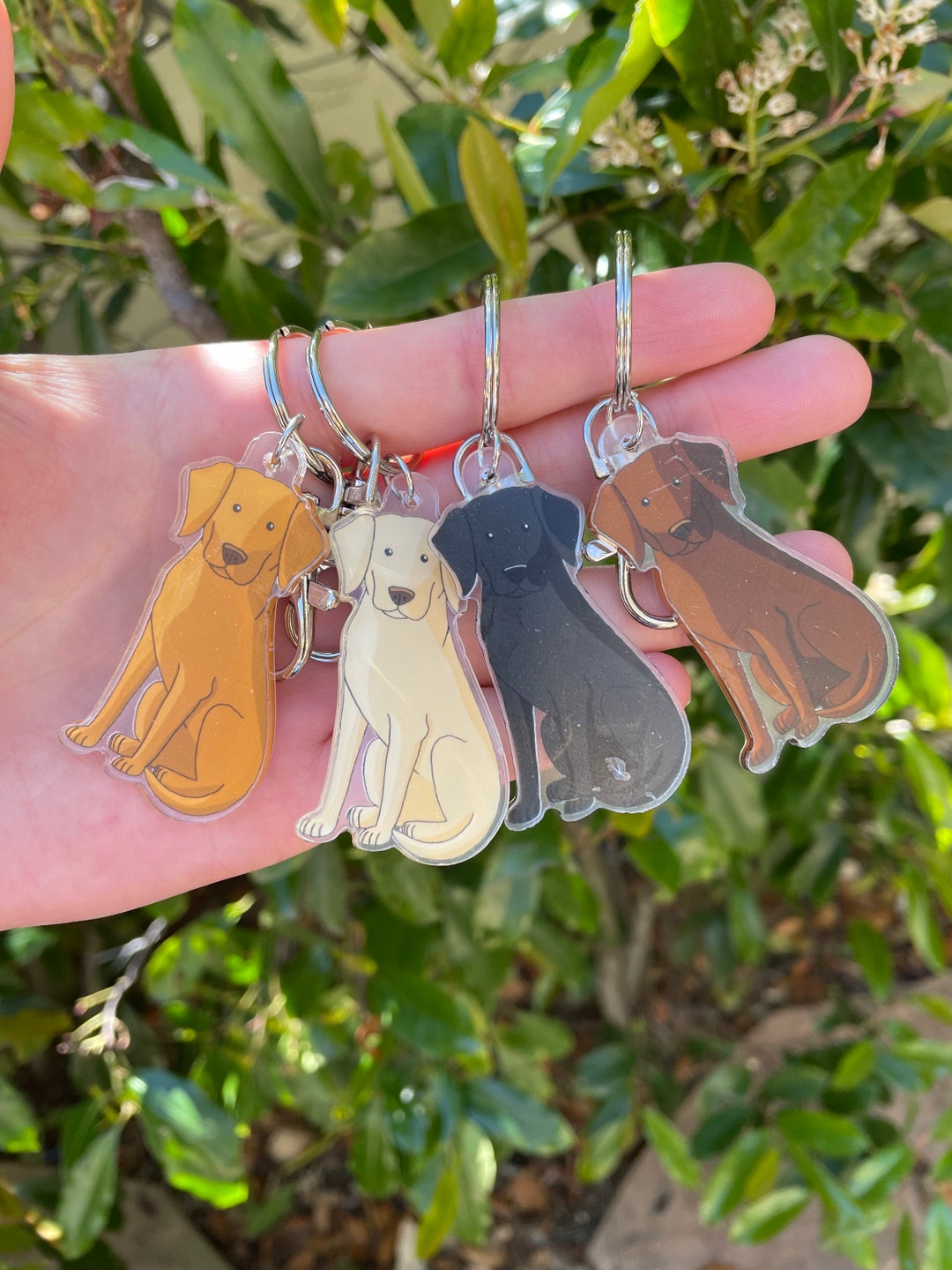 Labrador Acrylic Charm Keychain / Black / Yellow / Chocolate / Red ...