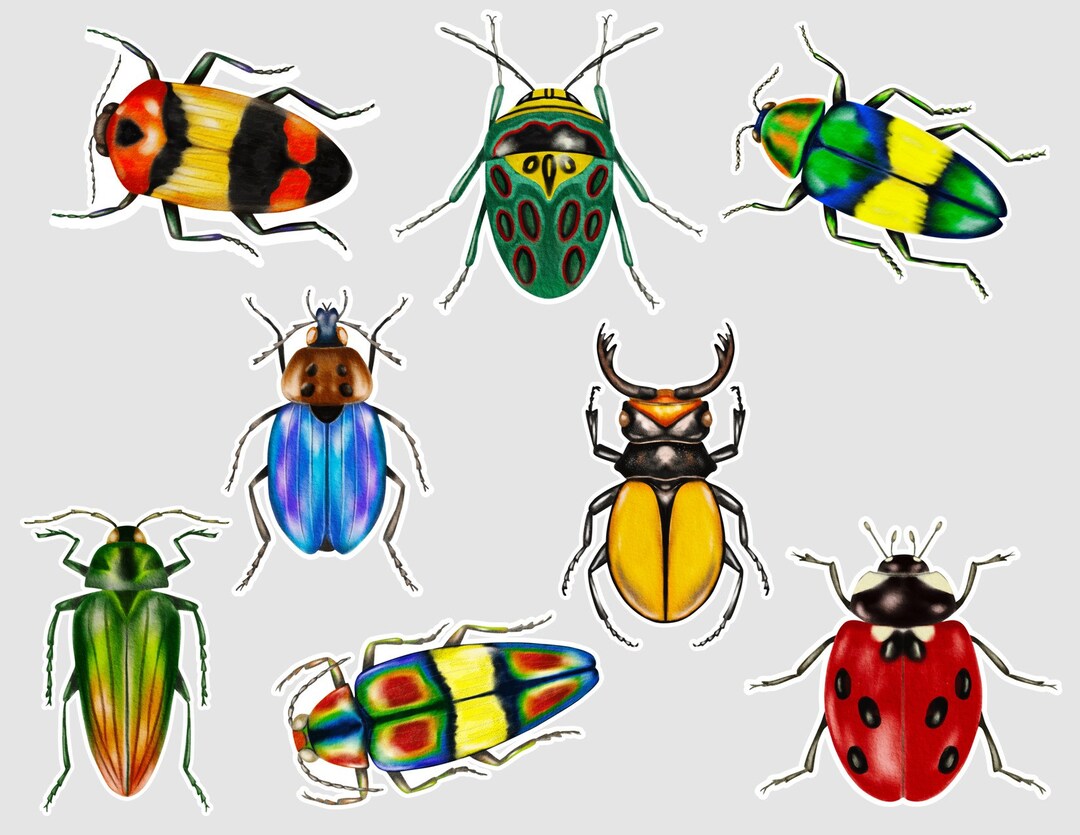 Realistic Bugs Yard Cards for Lawn Sign Rental Businesses or Event ...