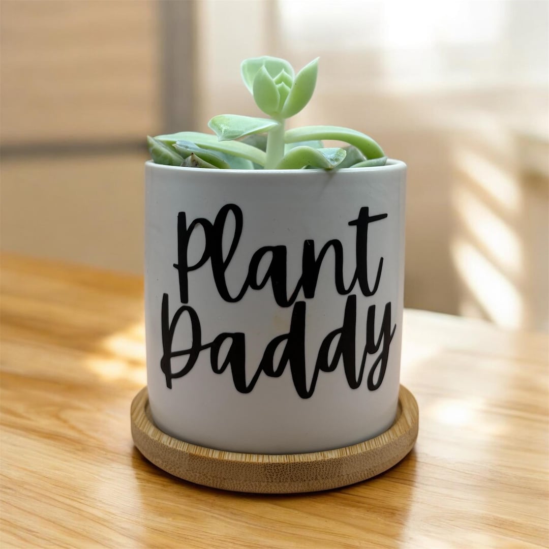 Plant Daddy Ceramic 3in Pots - Etsy