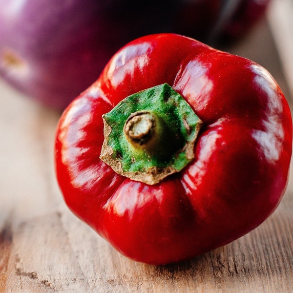 Paprika Pepper - Etsy