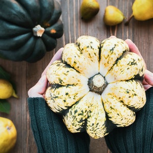 Autumn Mix Acorn Squash Seeds: Winter Squash Seed Blend, See Listing ...