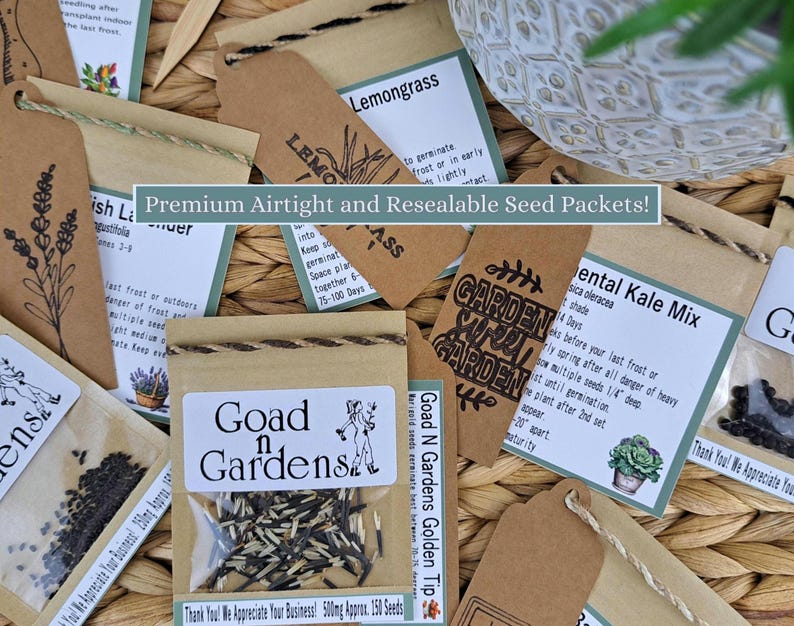 Turks Turban Gourd Seeds, Edible Ornamental Winter Squash, Heirloom ...