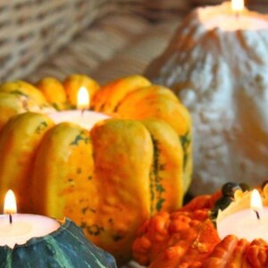 Fancy & Autumn Wing Gourd Seeds, Small and Medium Ornamental Gourds and ...