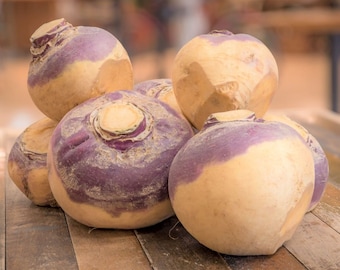 Heirloom Laurentian Rutabaga Seeds Brassica Napus Var. - Etsy