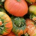 Turks Turban Gourd Seeds, Edible Ornamental Winter Squash, Heirloom ...