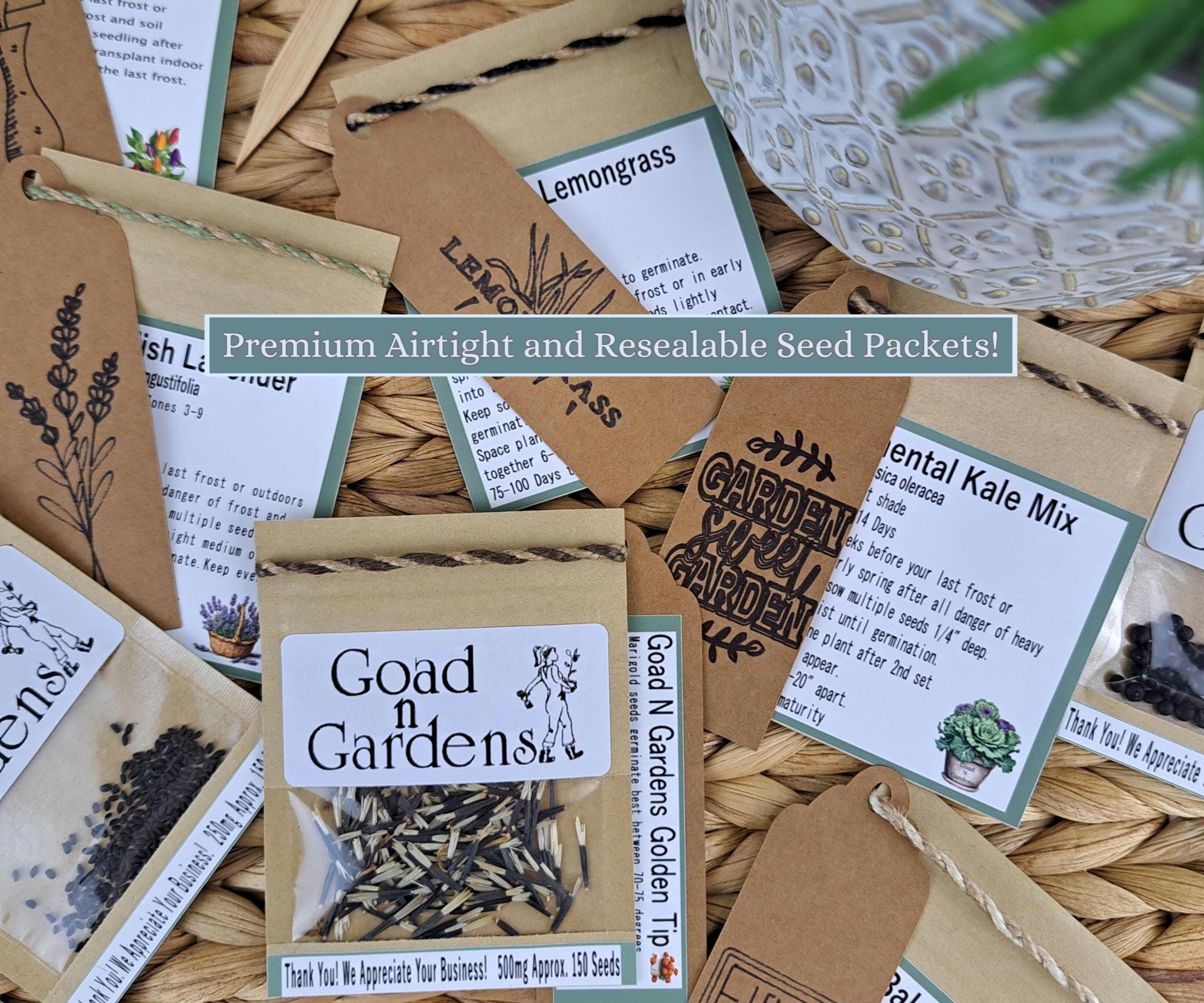 Cape Gooseberry Seeds, Peruvian Ground Cherry, Physalis Peruviana, Open ...