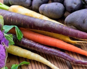 Heirloom Rainbow Carrot Mix Heirloom Organic Seeds - Etsy