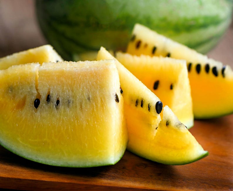 Yellow Gem Watermelon Seeds, Heirloom Golden Flesh Icebox Melon Sweet ...