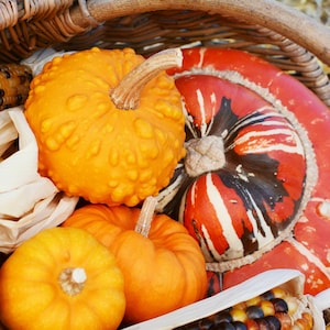 Turks Turban Gourd Seeds, Edible Ornamental Winter Squash, Heirloom ...