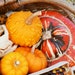 Turks Turban Gourd Seeds, Edible Ornamental Winter Squash, Heirloom ...