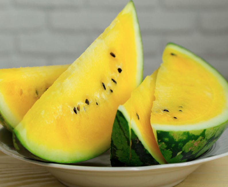 Yellow Gem Watermelon Seeds, Heirloom Golden Flesh Icebox Melon Sweet ...