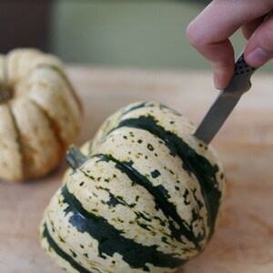 Autumn Mix Acorn Squash Seeds: Winter Squash Seed Blend, See Listing ...