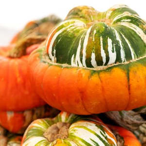 Turks Turban Gourd Seeds, Edible Ornamental Winter Squash, Heirloom ...