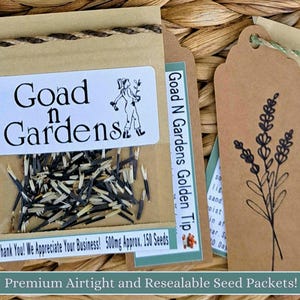 Firecracker Chili Pepper Seeds, Edible Ornamental Pepper, Heirloom Hot ...