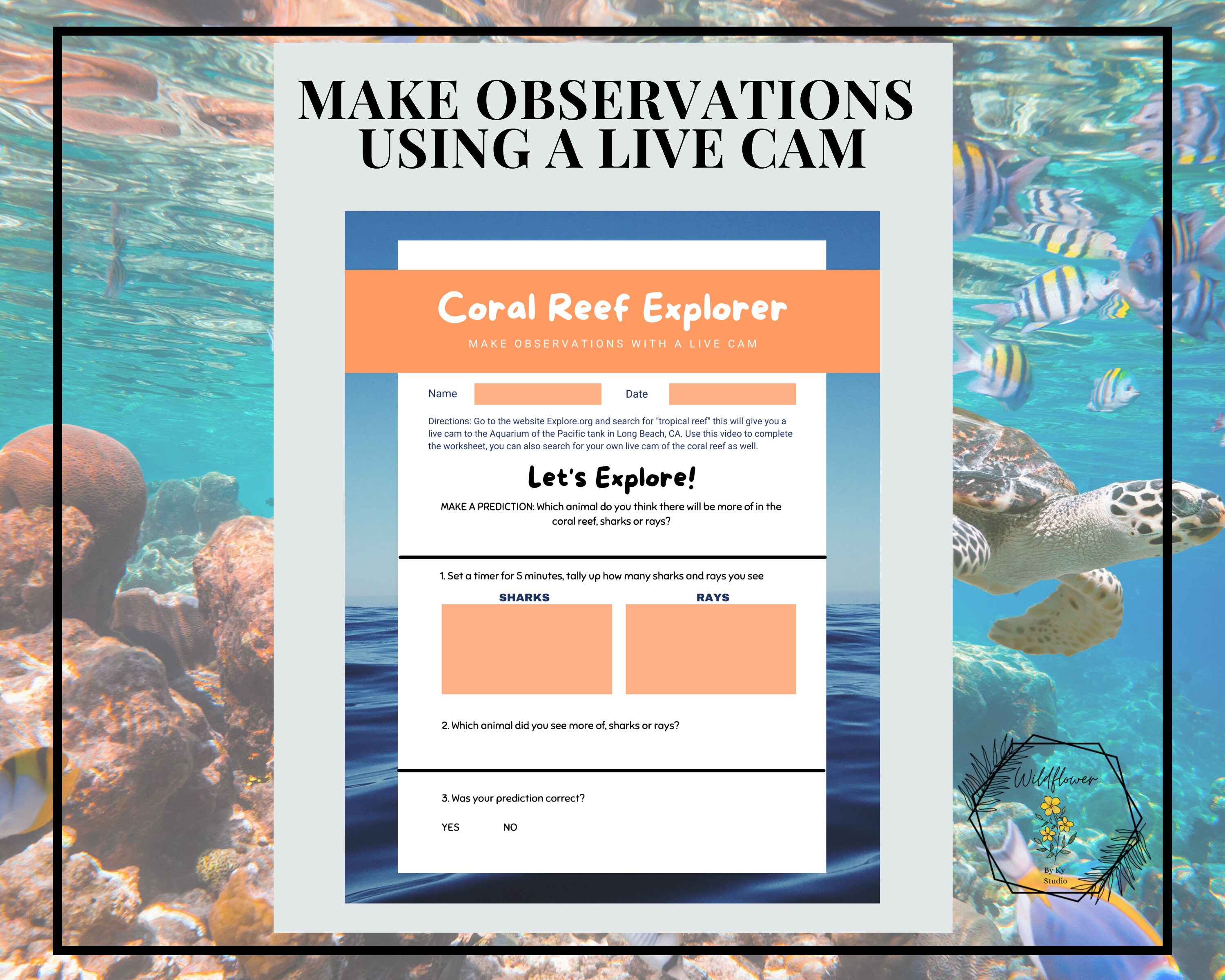 Coral Reef Explorer Worksheet Set - Etsy