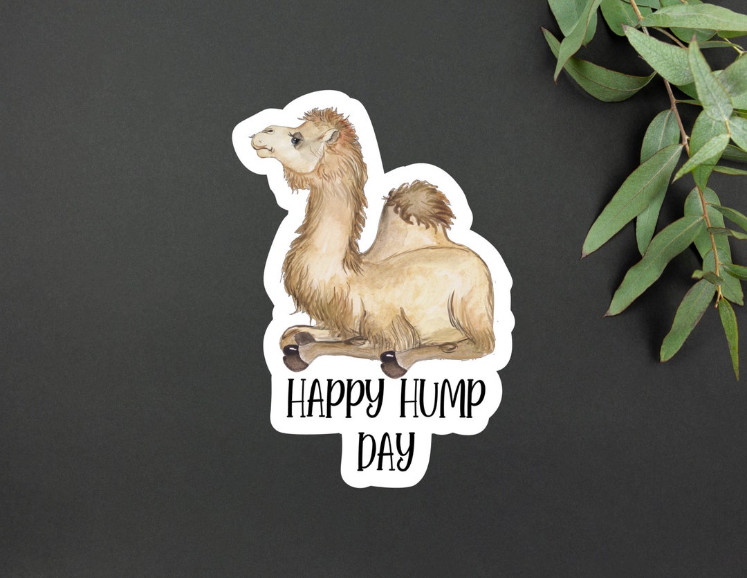 Happy Hump Day Camel Sticker Hump Day Decor Sticker Camel Laptop ...