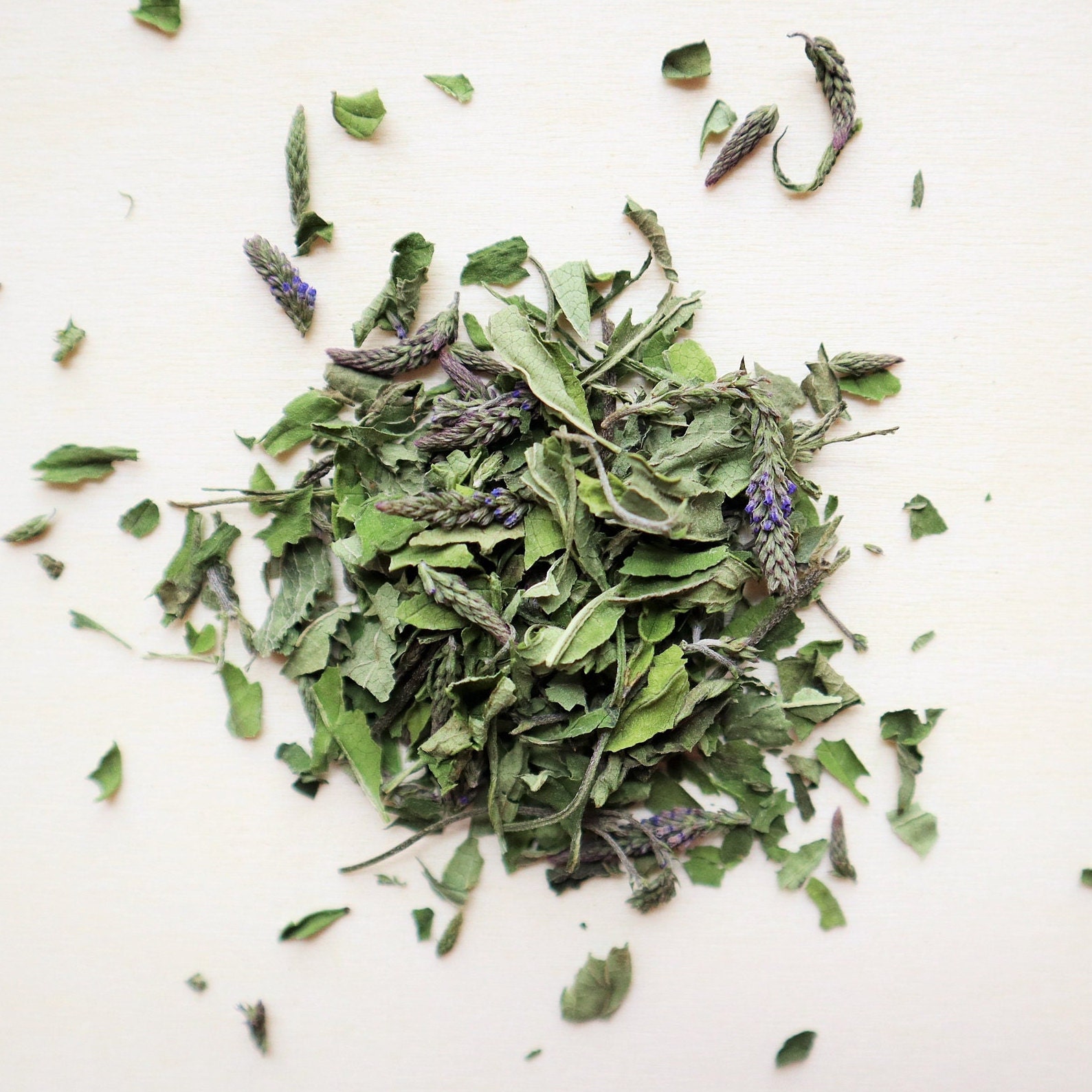 Dried Blue Vervain Flowers and Leaves 2024 Harvest Verbena Hastata - Etsy