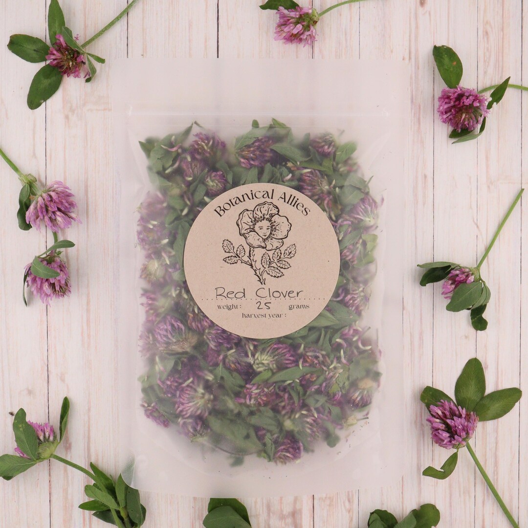 Dried Red Clover Flowers and Top Leaves * 2025 Harvest * Trifolium ...