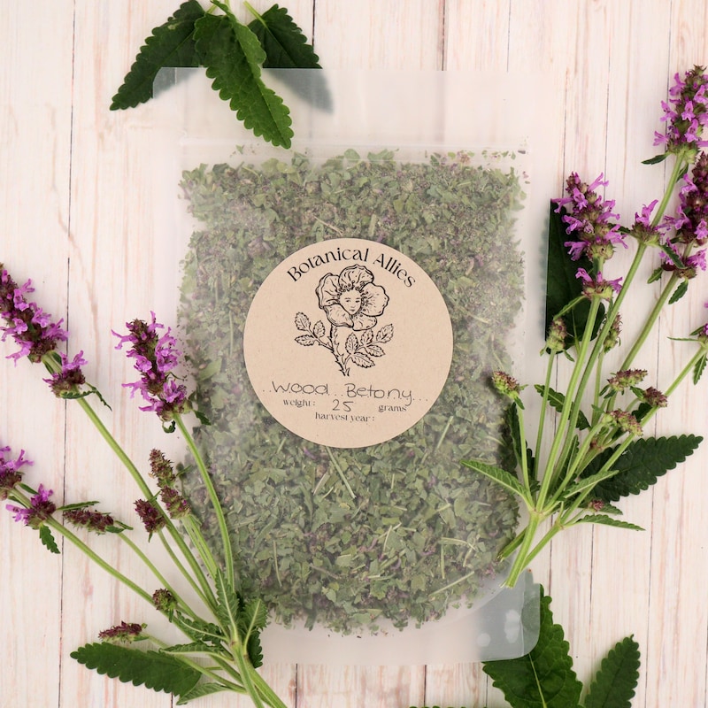 Herbstfest 2025 Sachsen - Etsy Canada